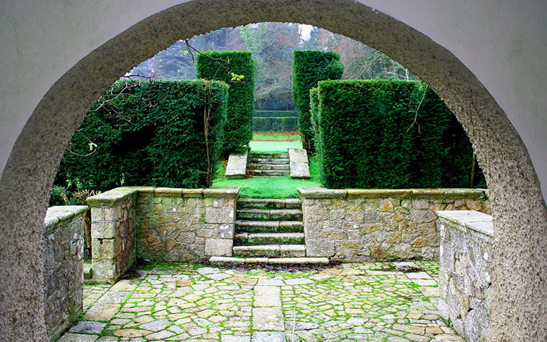 Conservation of Grade 1 registered Gardens, Wood state Devon: Colson ...