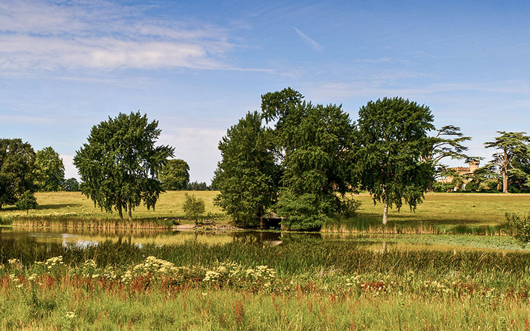 Historic landscape survey Knepp Castle Deer Park: Colson Stone Practice ...